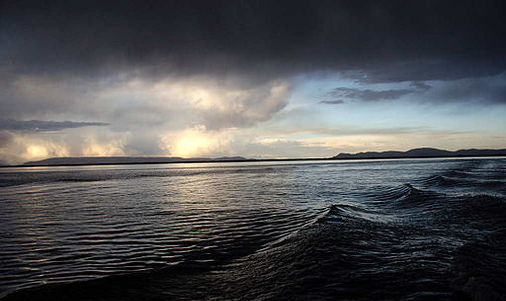 La Arboleda - Chucuito - Puno - Perú